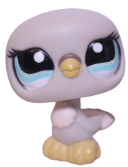 Birds – Littlest Brainrot