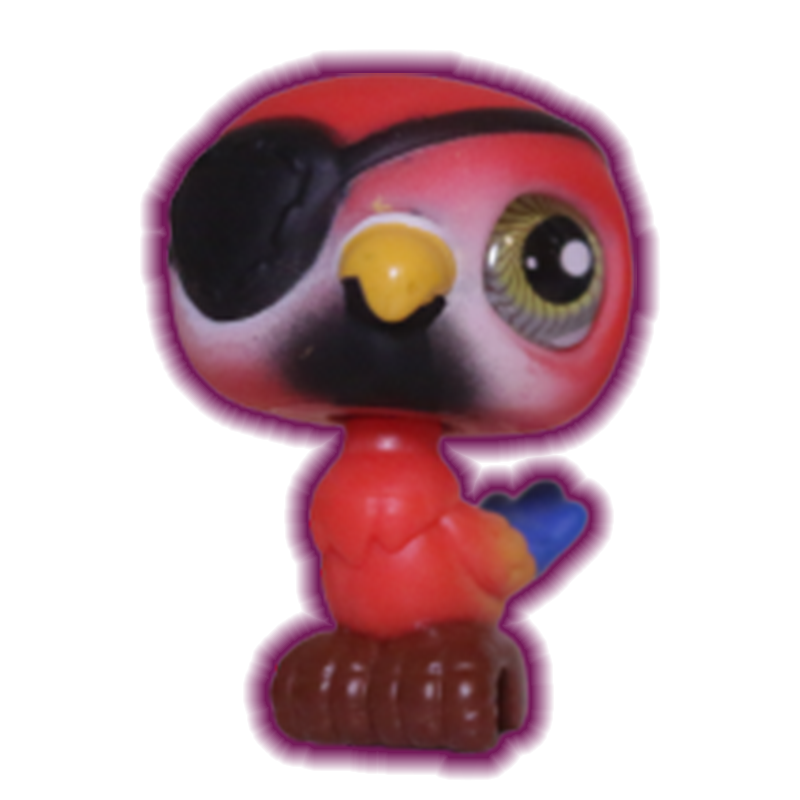 Parrots – Littlest Brainrot