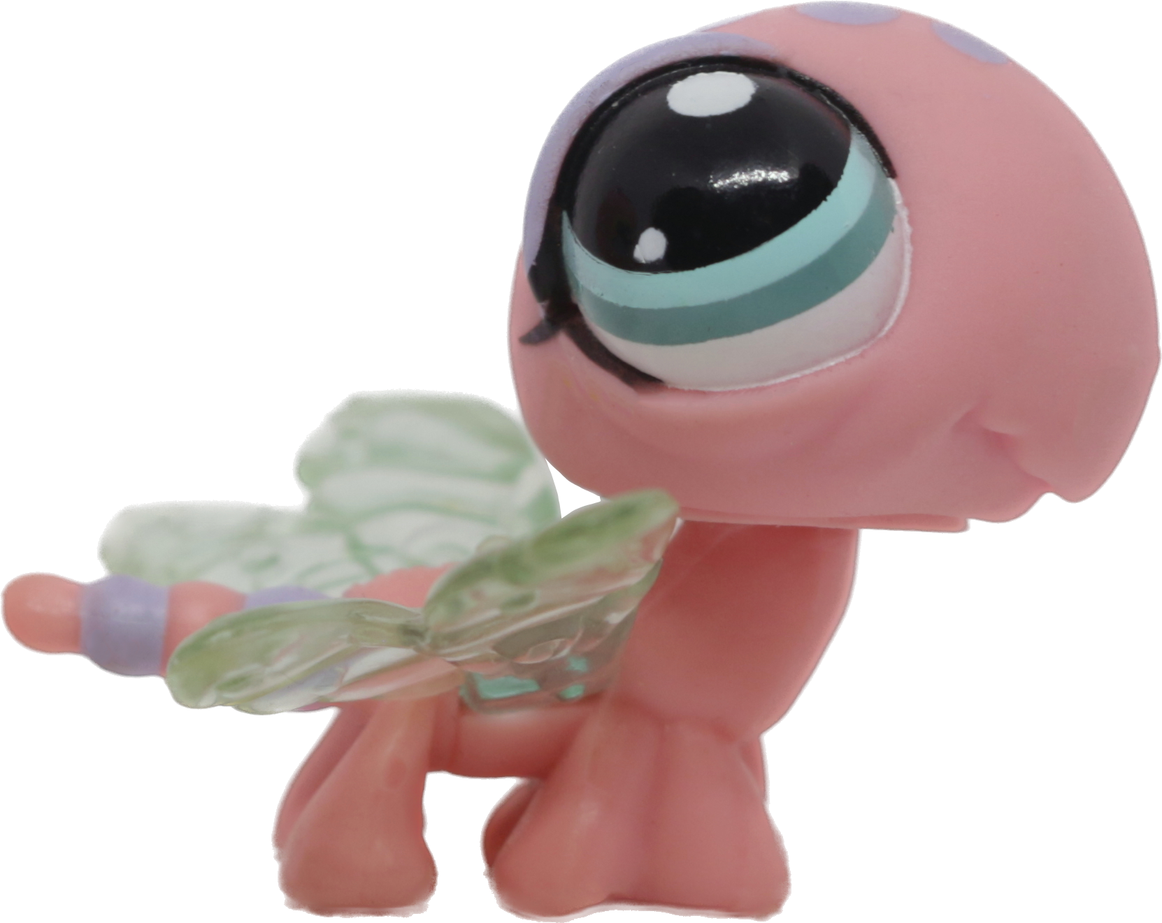 Bugs – Littlest Brainrot