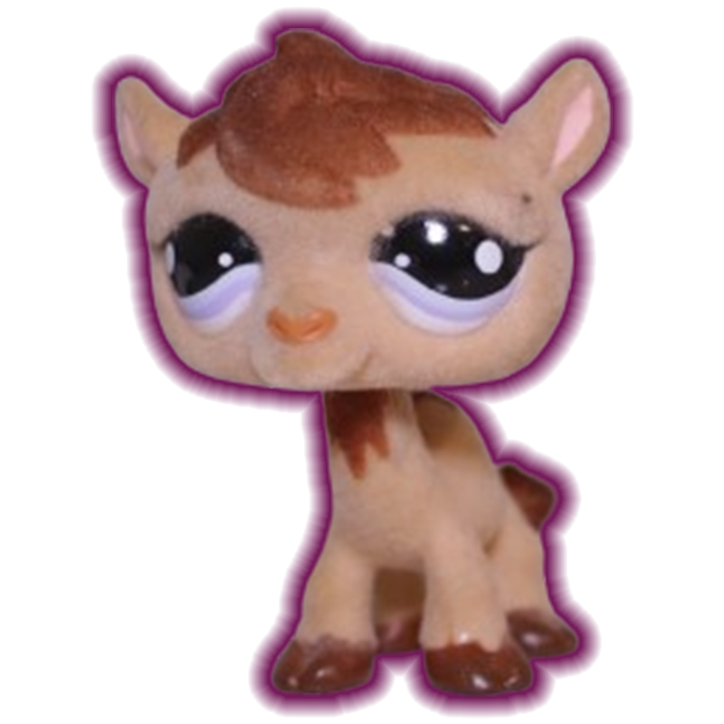 Camels – Littlest Brainrot