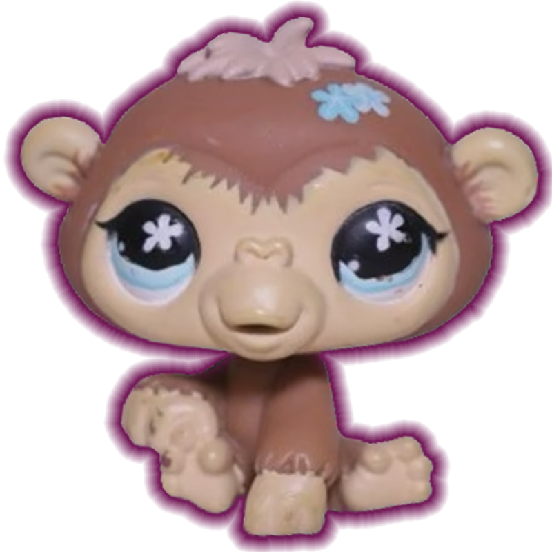 Chimpanzees – Littlest Brainrot