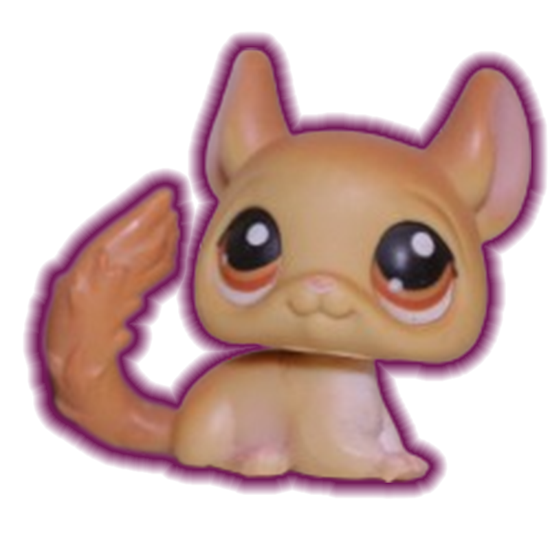 Chinchillas – Littlest Brainrot