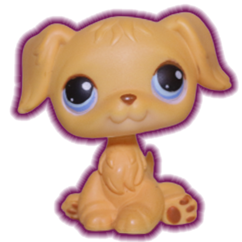 Golden Retrievers – Littlest Brainrot