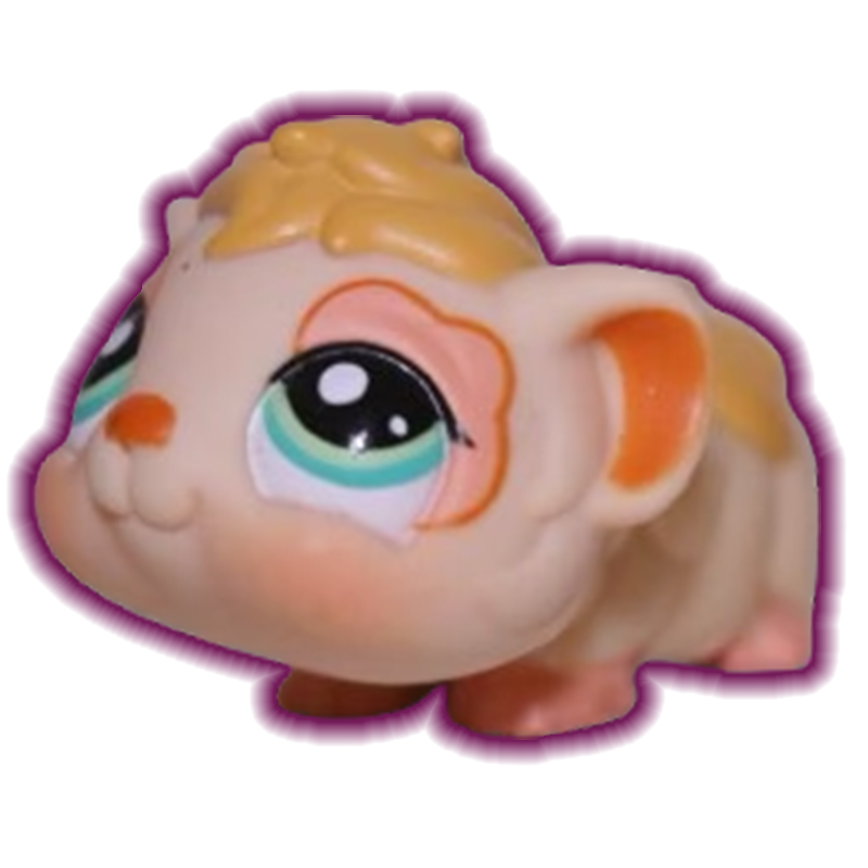 Guinea Pigs – Littlest Brainrot