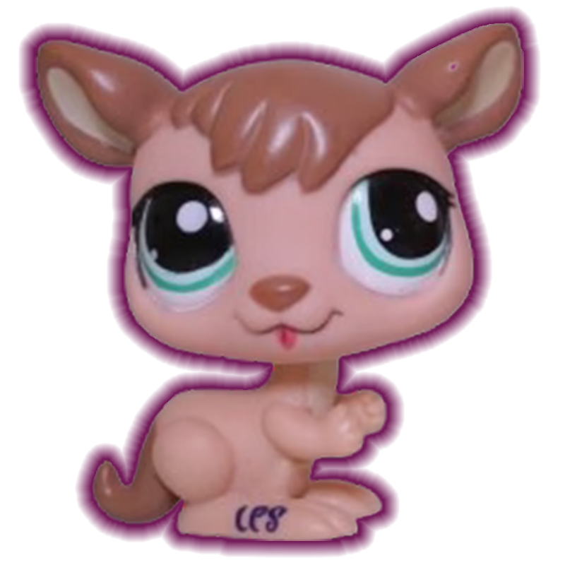 Kangaroos – Littlest Brainrot