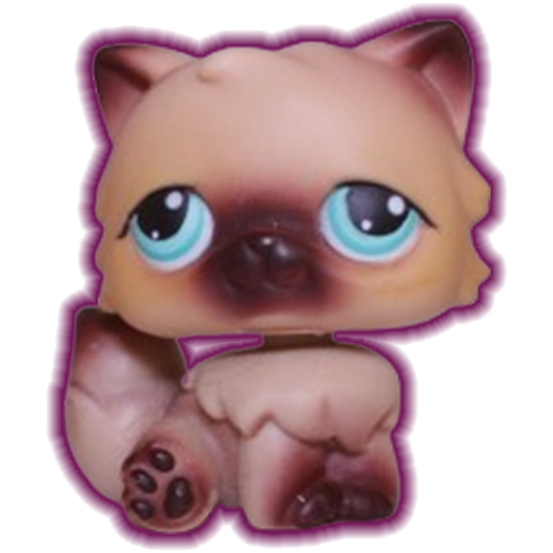 Persian Cats – Littlest Brainrot