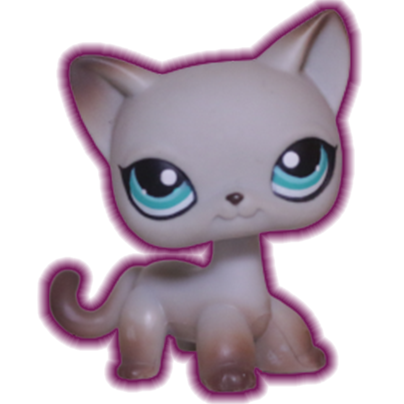 Shorthair Cats – Littlest Brainrot