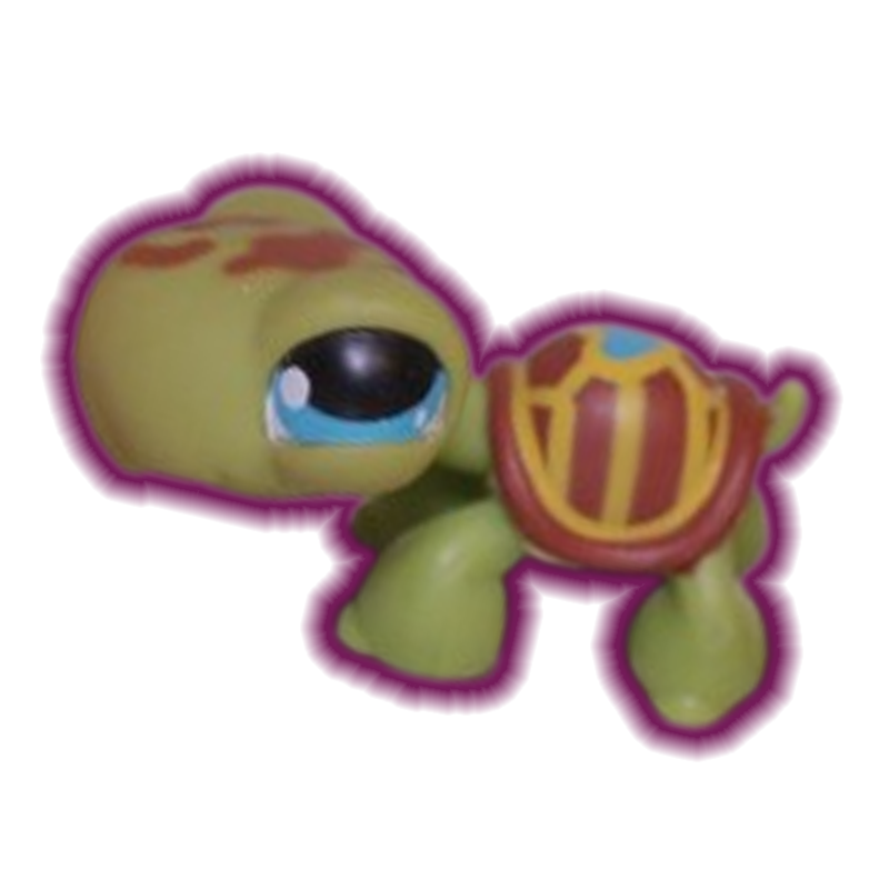 Turtles – Littlest Brainrot