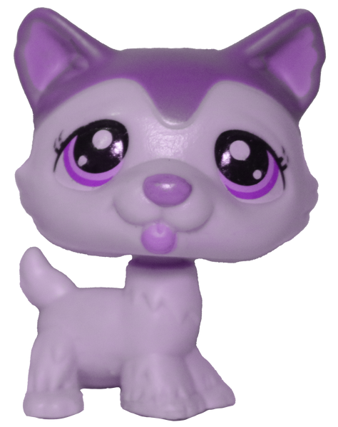 LPS No # Husky 🐾 Authentic LPS at Littlest Brainrot